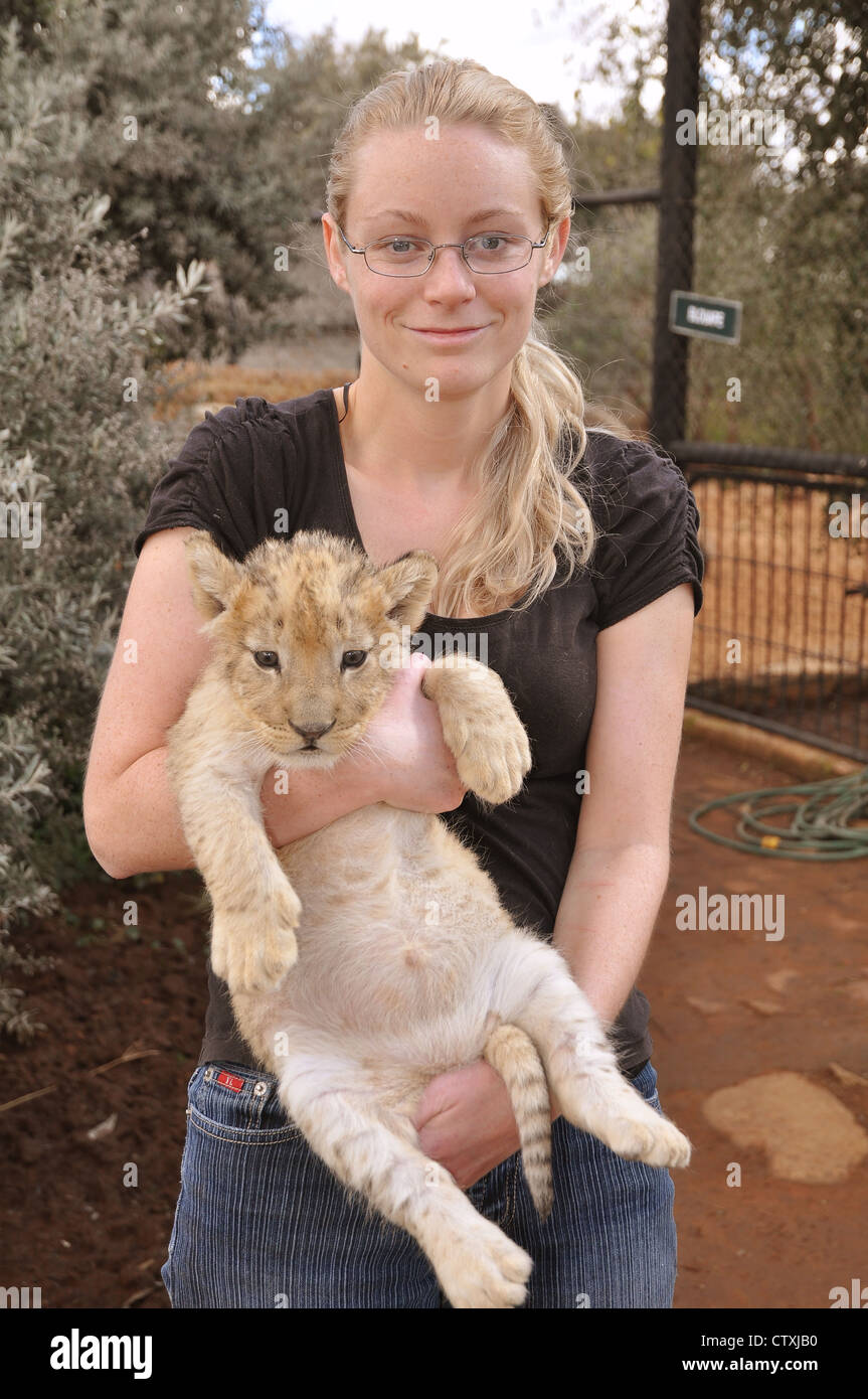 lion conservation in Africa Stock Photo - Alamy