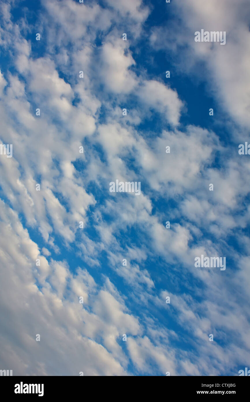 Stock Photo - Cloud on the blue sky texture background Stock Photo - Alamy
