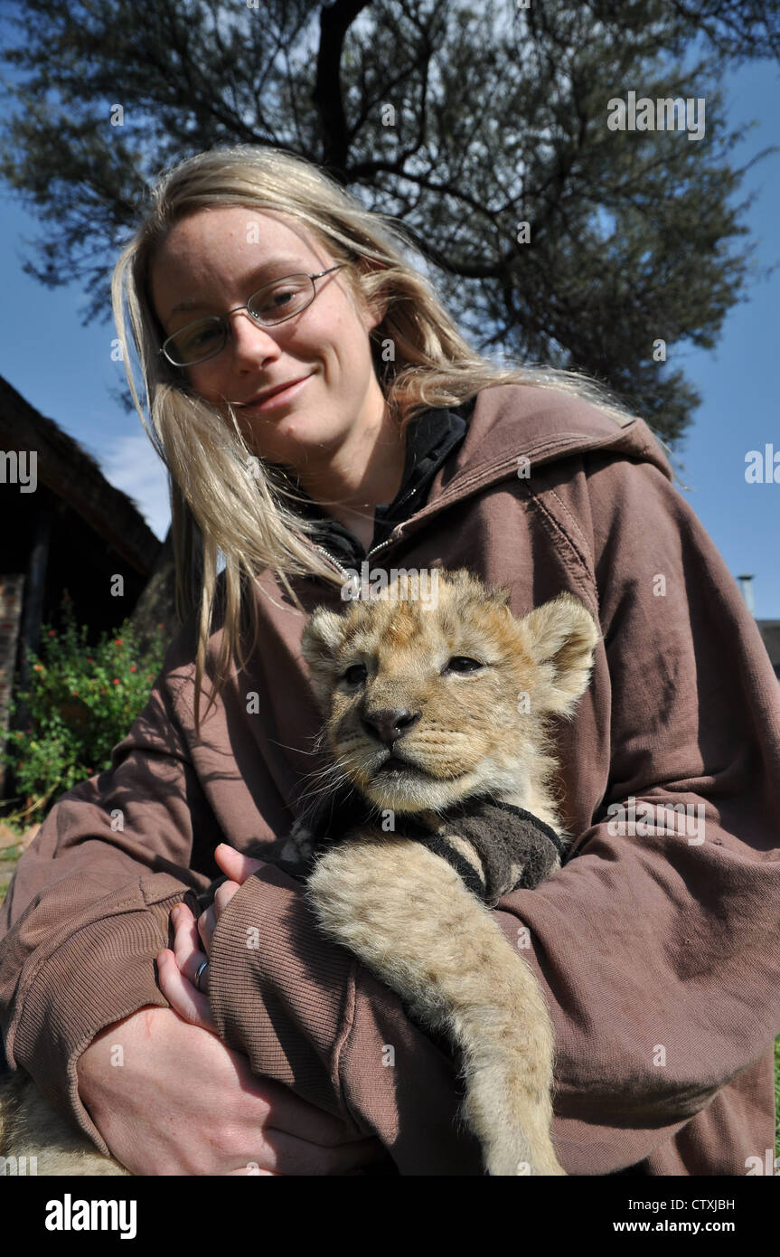Lion conservation hi-res stock photography and images - Alamy