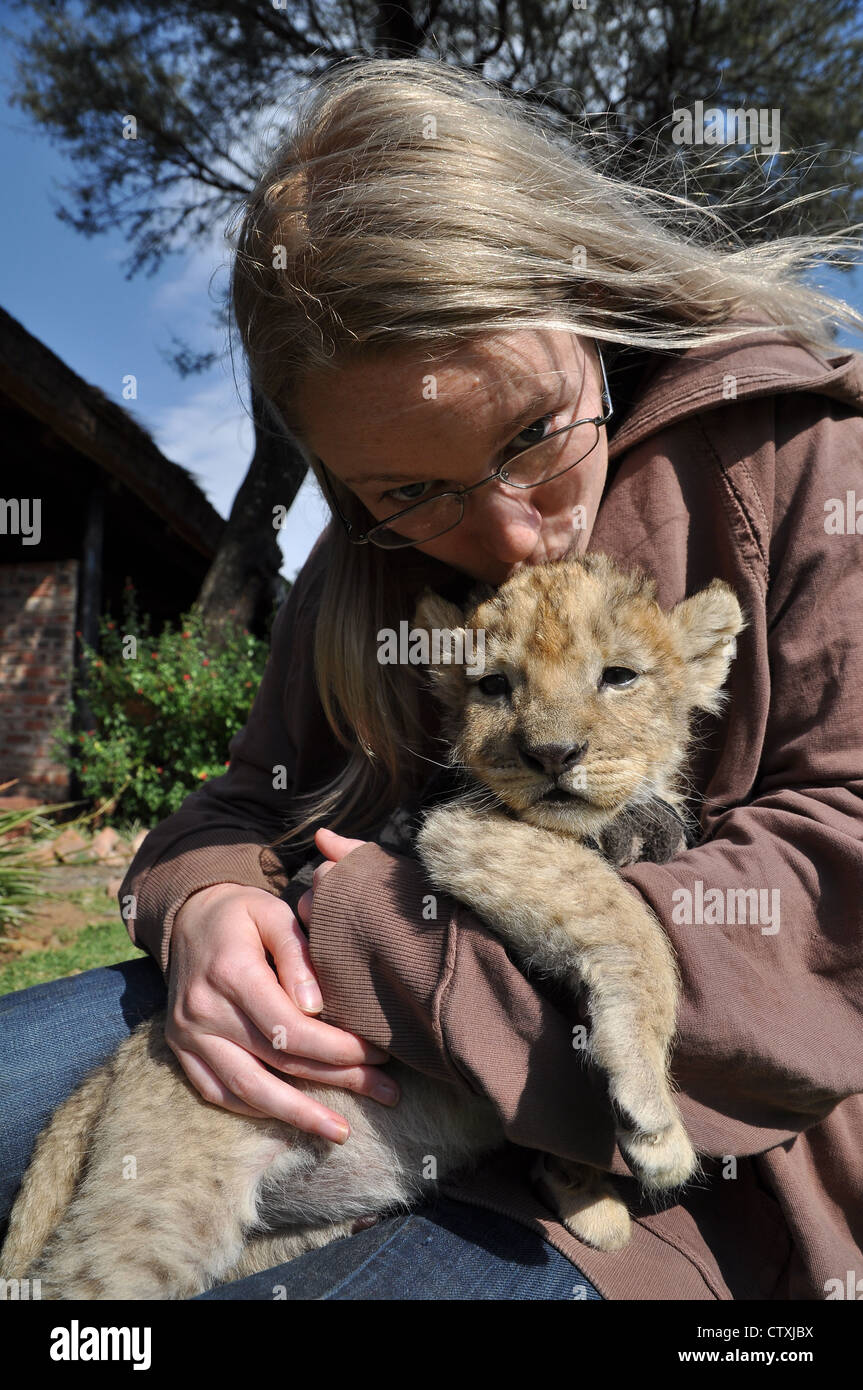 Lion conservation hi-res stock photography and images - Alamy