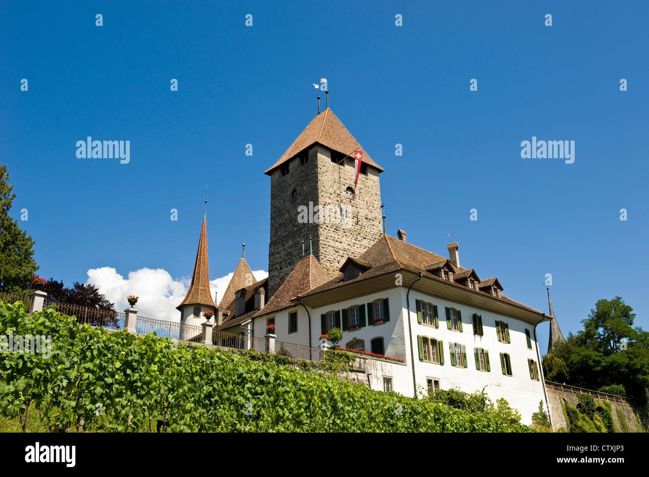 Switzerland, Canton Bern, Spiez, medieval castle Stock Photo - Alamy