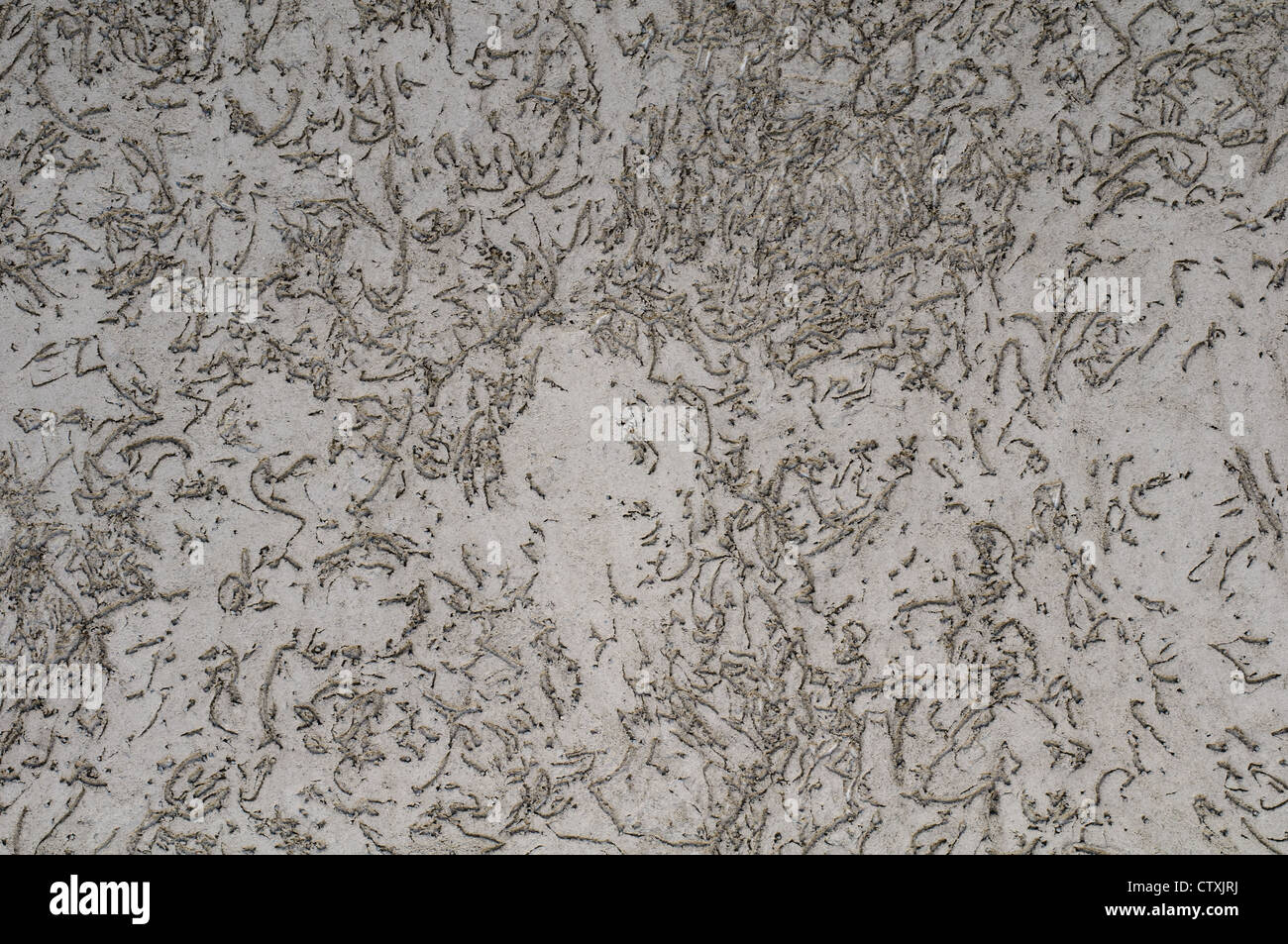 Close up of plaster texture on the wall Stock Photo - Alamy