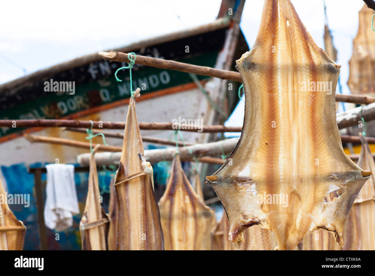 Cod Fish drying Camara De Lobos Harbour village Madeira Portugal Stock ...