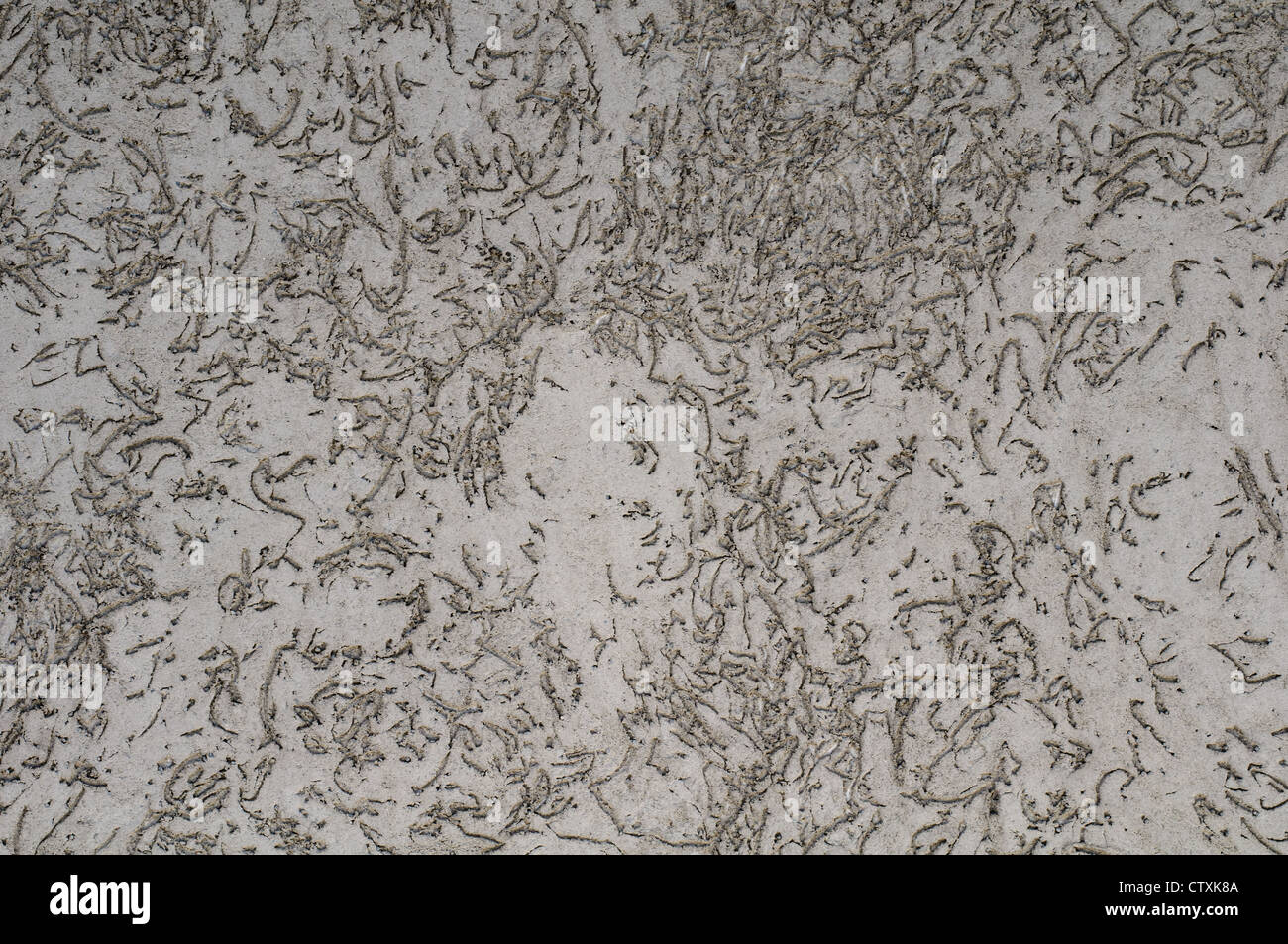 Distressed plaster texture hi-res stock photography and images - Alamy