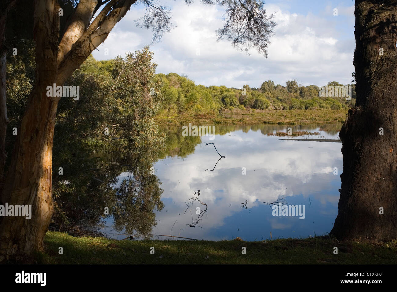 Reflections on Lake Yanchep, in Yanchep National park, Perth. Western ...