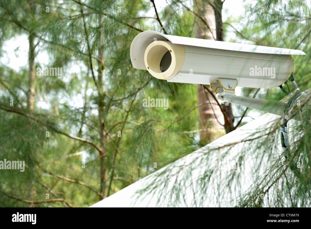 Cctv on the tree hi-res stock photography and images - Alamy
