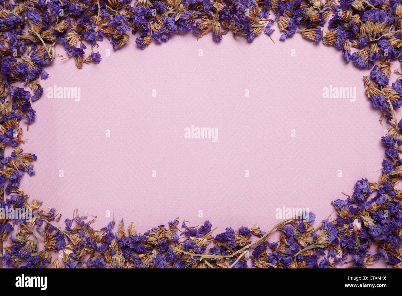 A pink note with dried purple flower frame Stock Photo - Alamy