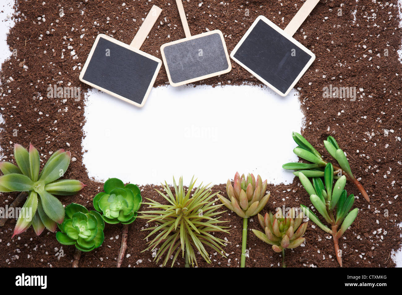 Plant name hi-res stock photography and images - Alamy