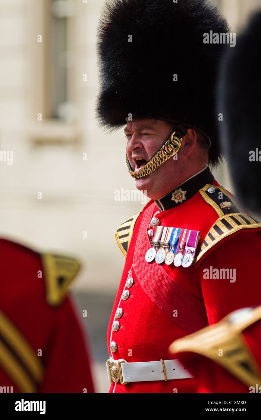 Coldstream guards uniform hi-res stock photography and images - Alamy