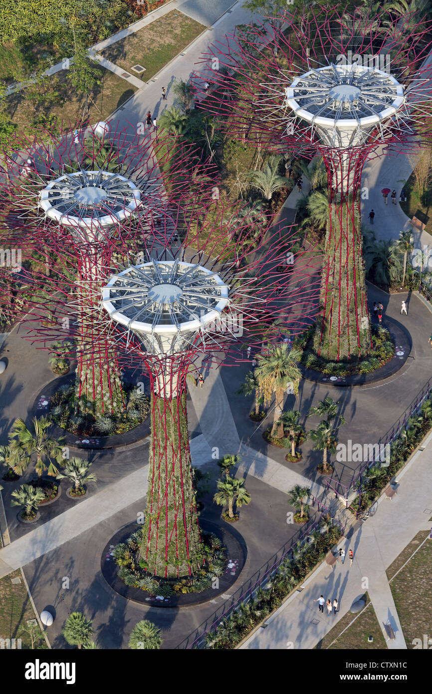 Aerial view of Supertrees at Gardens By The Bay near Marina Bay in ...