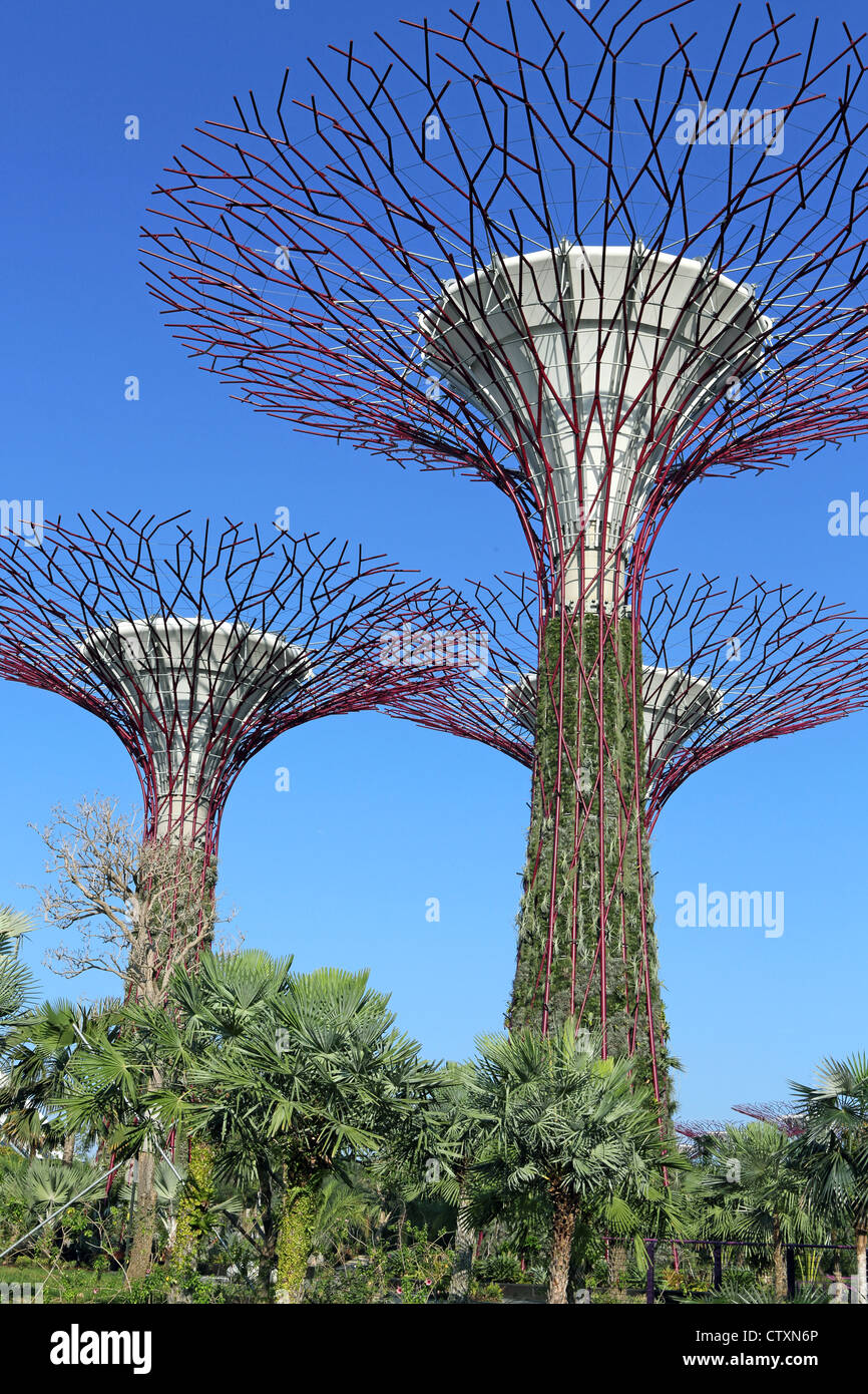 Singapore trees hi-res stock photography and images - Alamy
