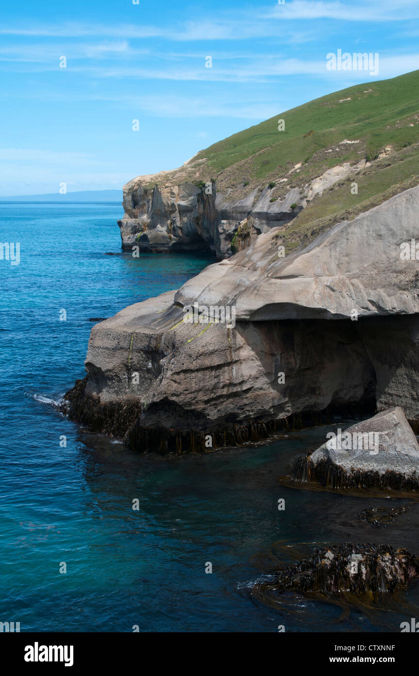Sea-carved sandstone clilffs, rock arches and caves form Tunnel Beach ...