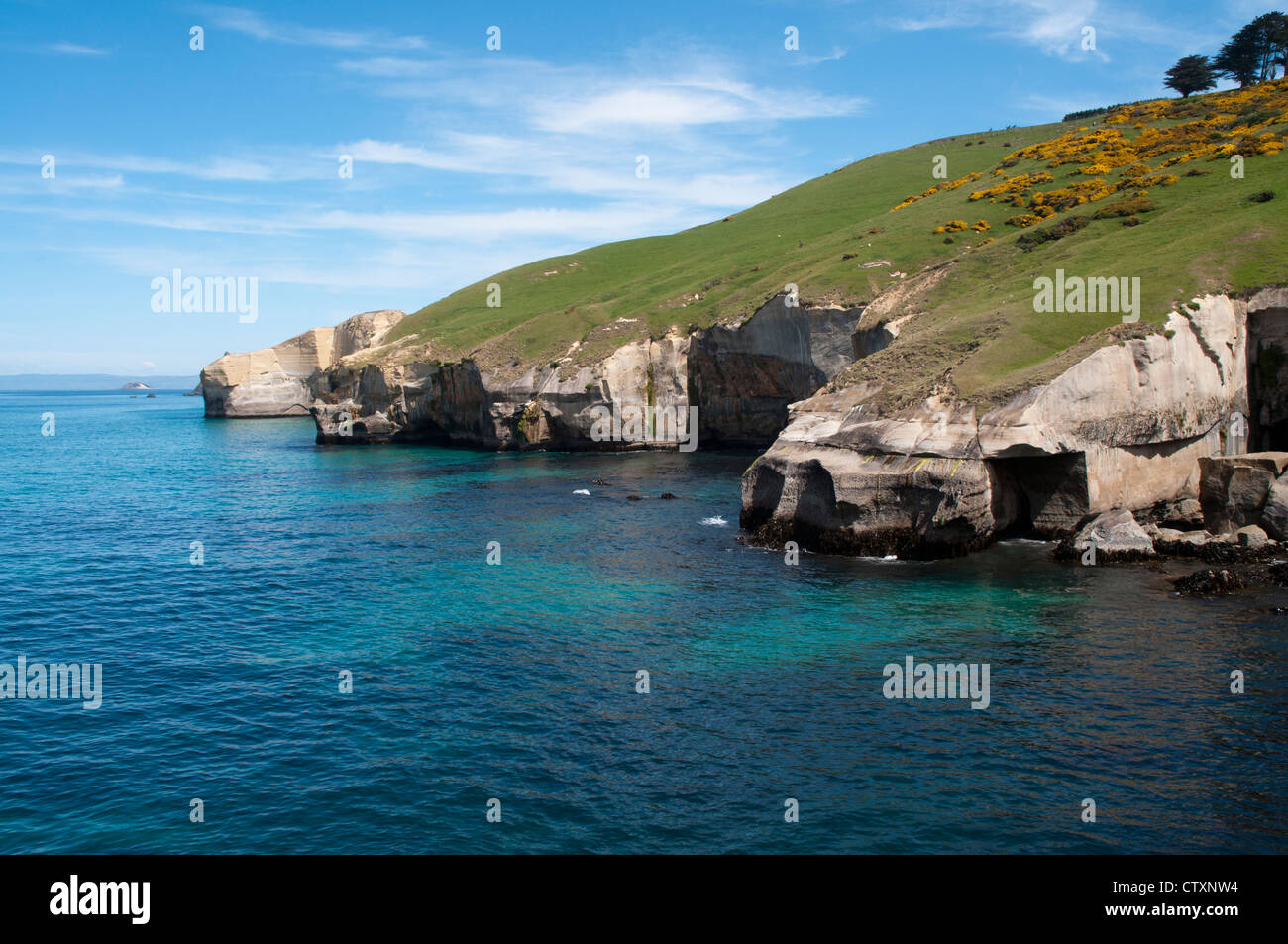 Sea-carved sandstone clilffs, rock arches and caves form Tunnel Beach ...