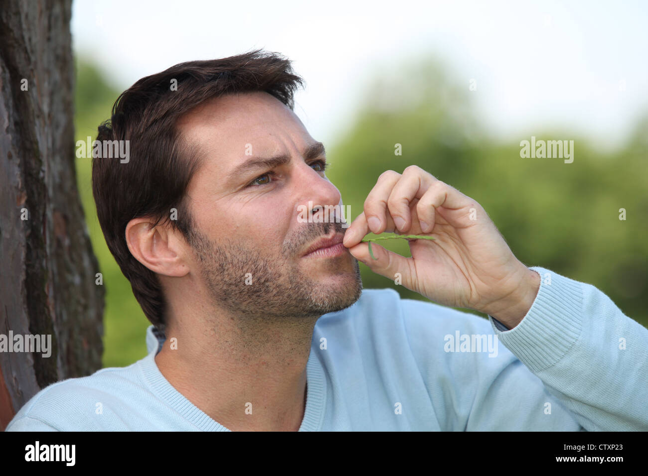 Man chewing ongrass Stock Photo - Alamy