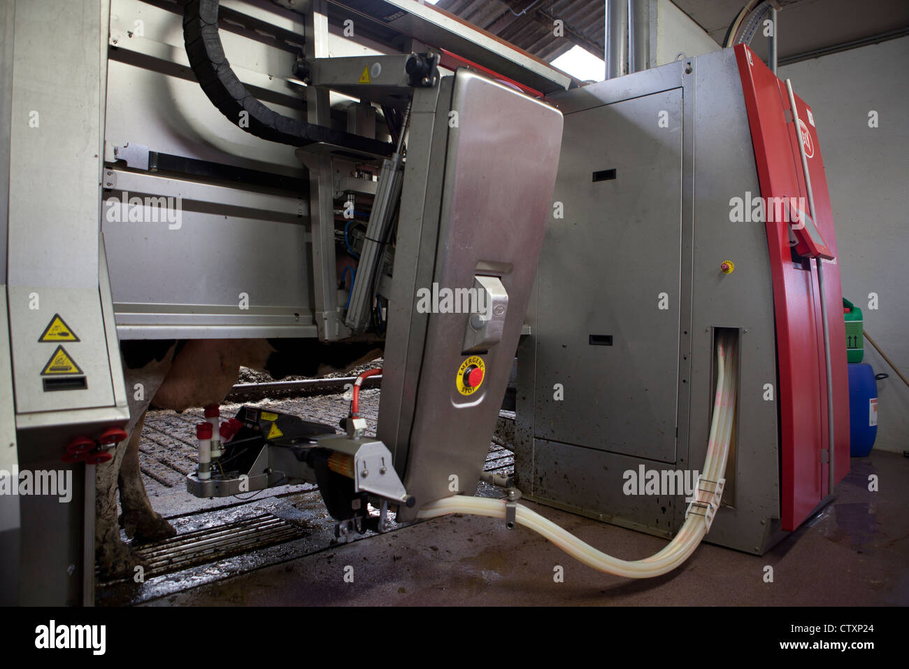 Robot milking machine hi-res stock photography and images - Alamy