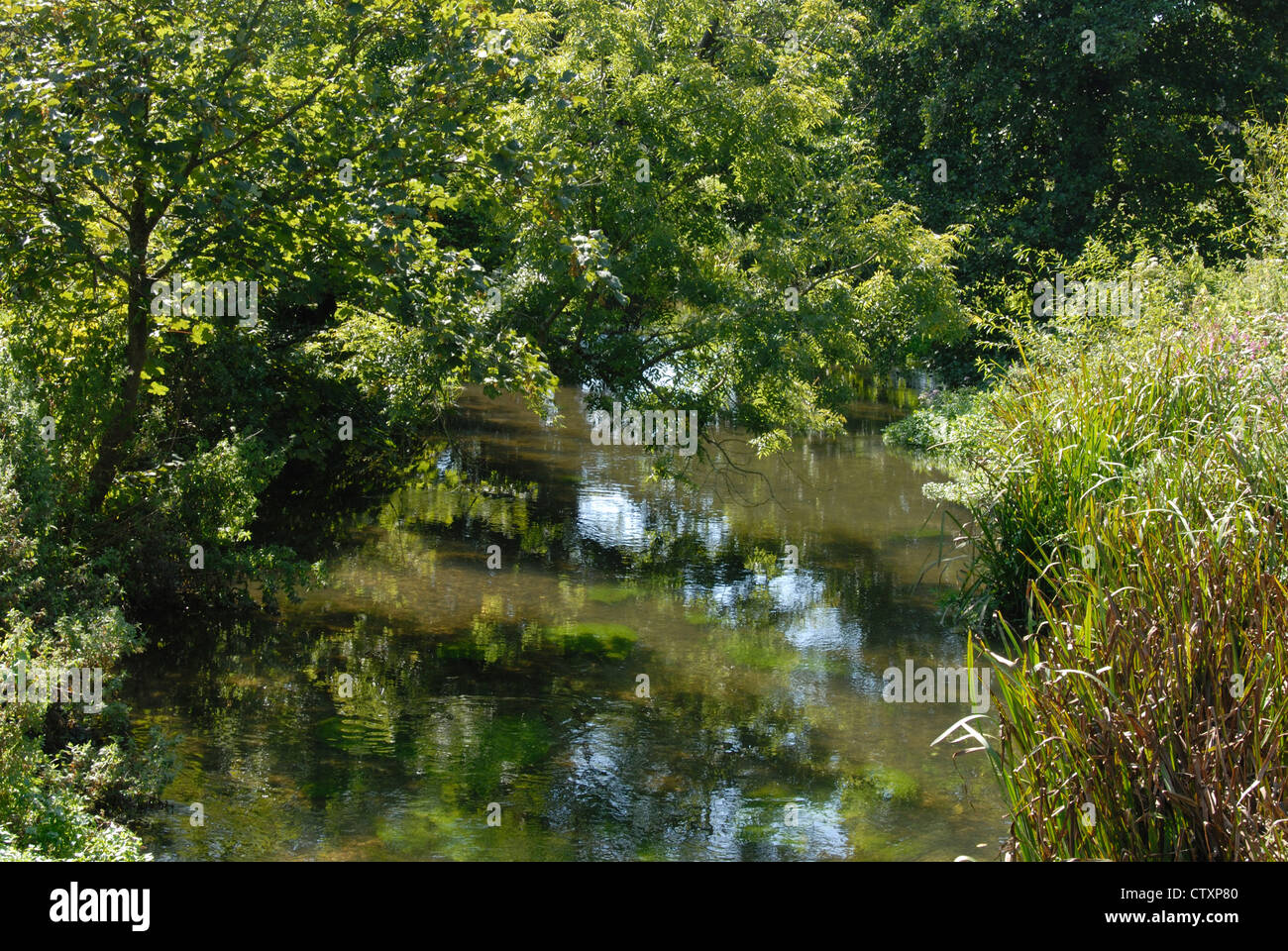 Bockhampton hi-res stock photography and images - Alamy