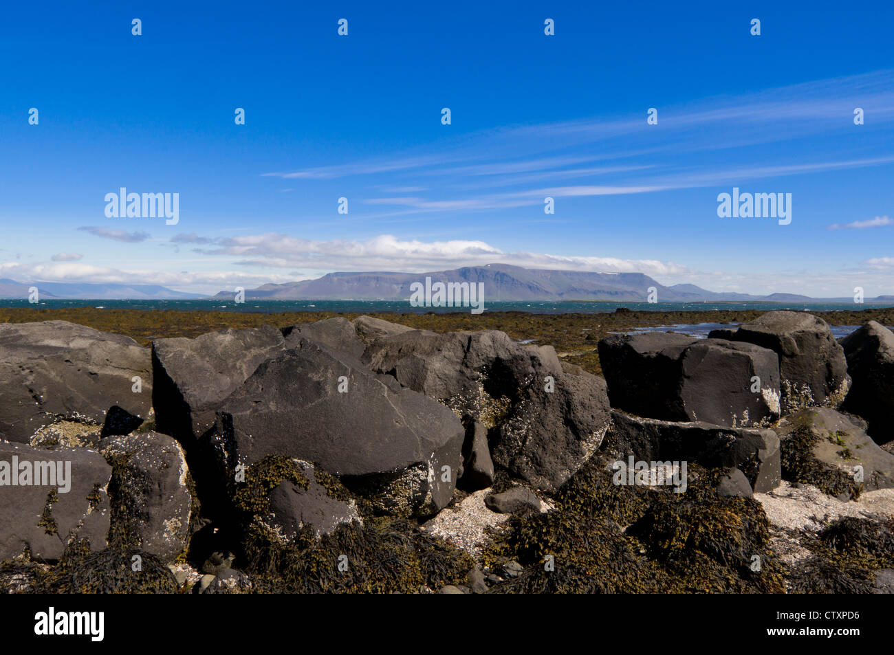 Landscape with Lava Rock near Reykjavik Iceland Stock Photo - Alamy