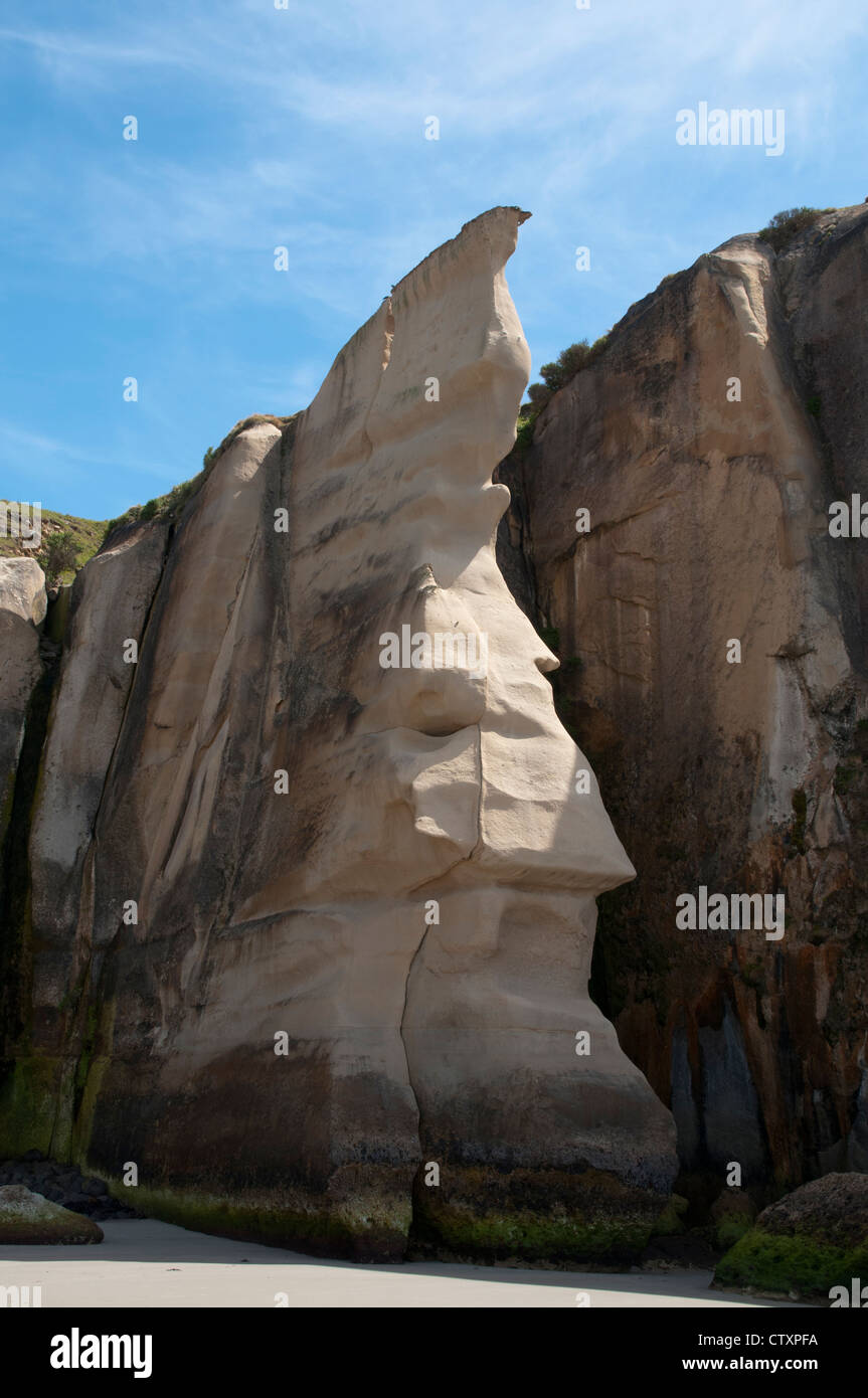 Sea-carved sandstone clilffs, rock arches and caves form Tunnel Beach ...