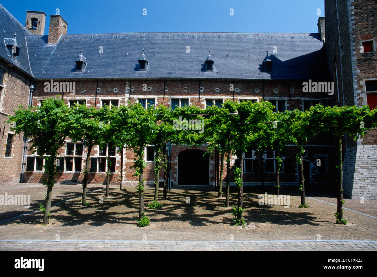 Trees in front of building Stock Photo - Alamy