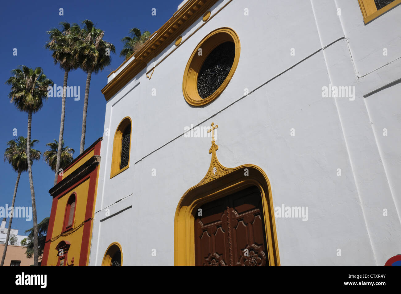 Tall palm trees hi-res stock photography and images - Alamy