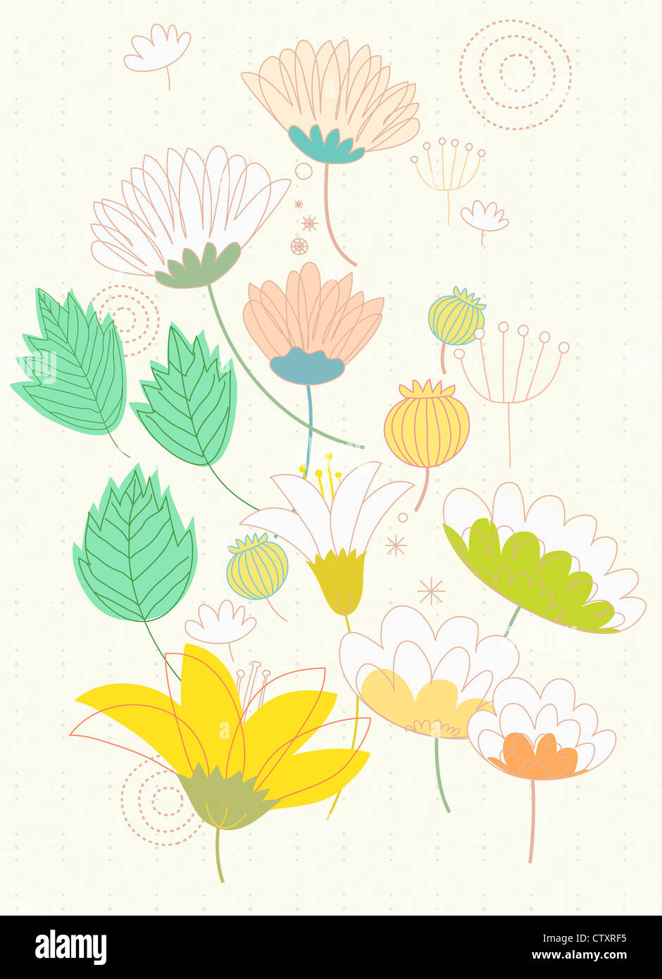 Colorful flowers with white background Stock Photo - Alamy