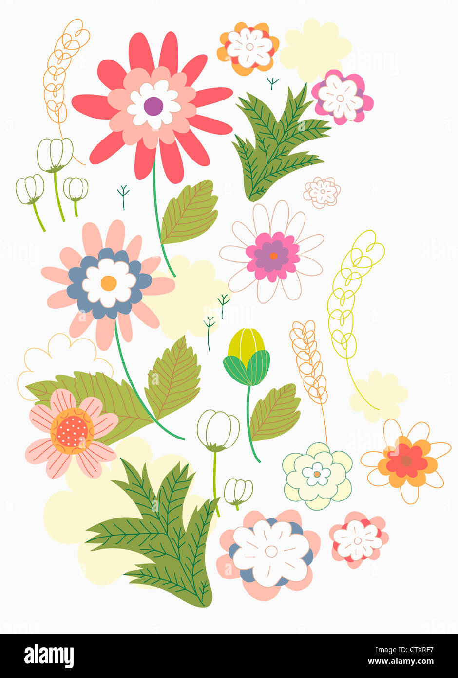 Colorful flowers with white background Stock Photo - Alamy