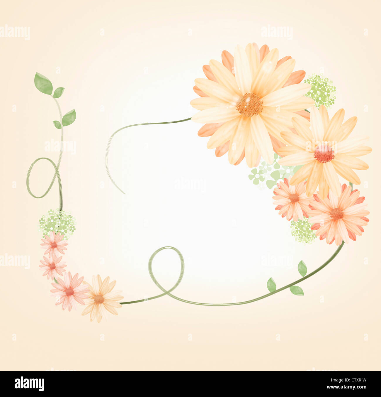 Orange flower frame Stock Photo - Alamy