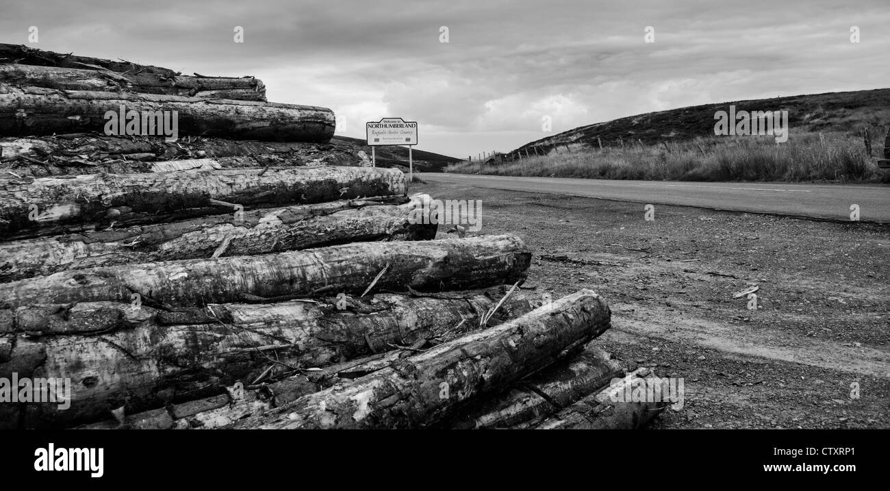 timber stack with northumberland sign in background Stock Photo - Alamy