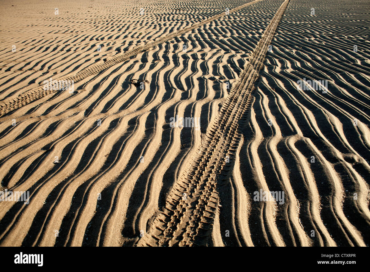 Abstract line texture hi-res stock photography and images - Alamy