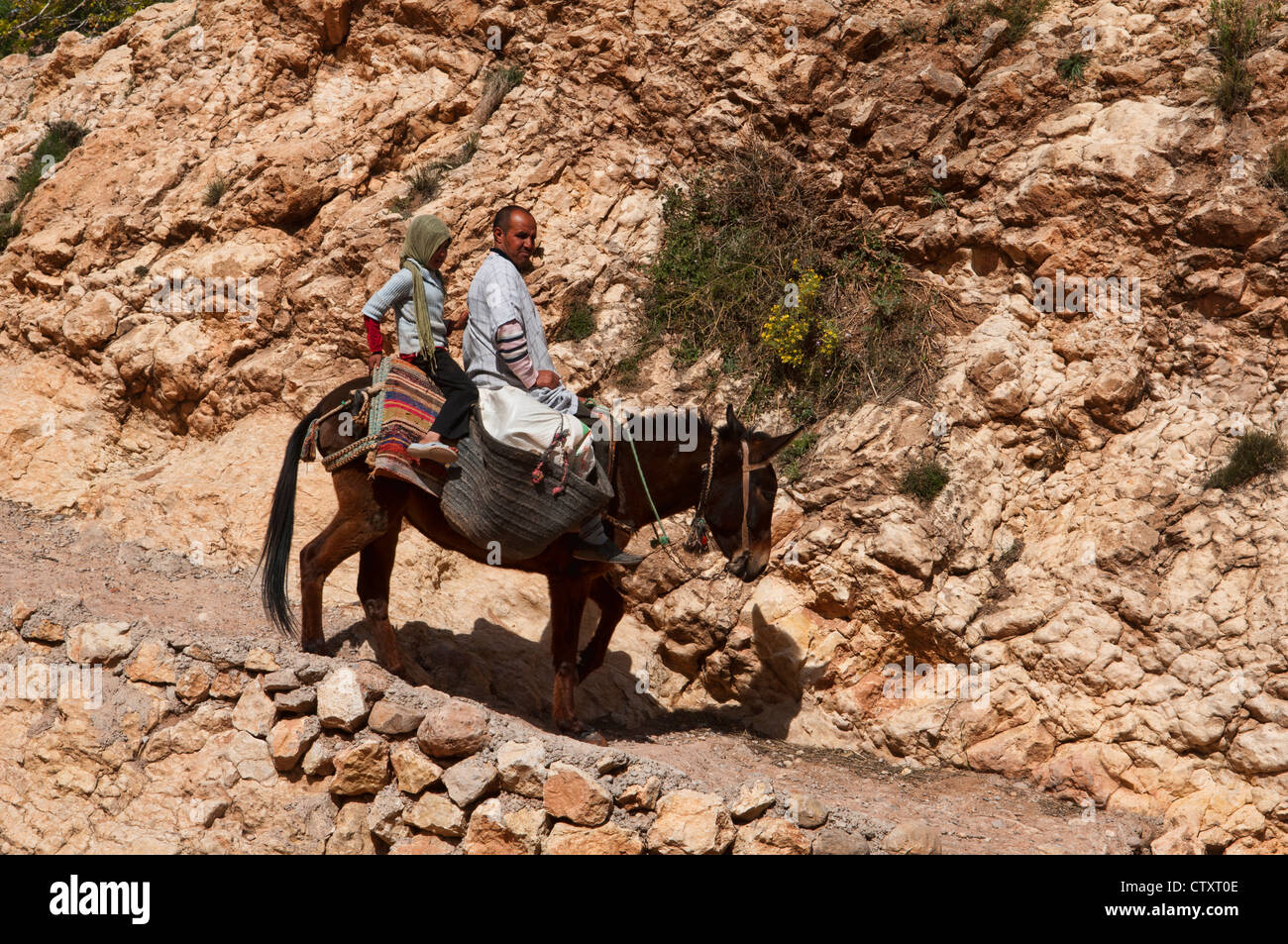 mule trekking in the Southern Atlas Mountains, Morocco Stock Photo - Alamy