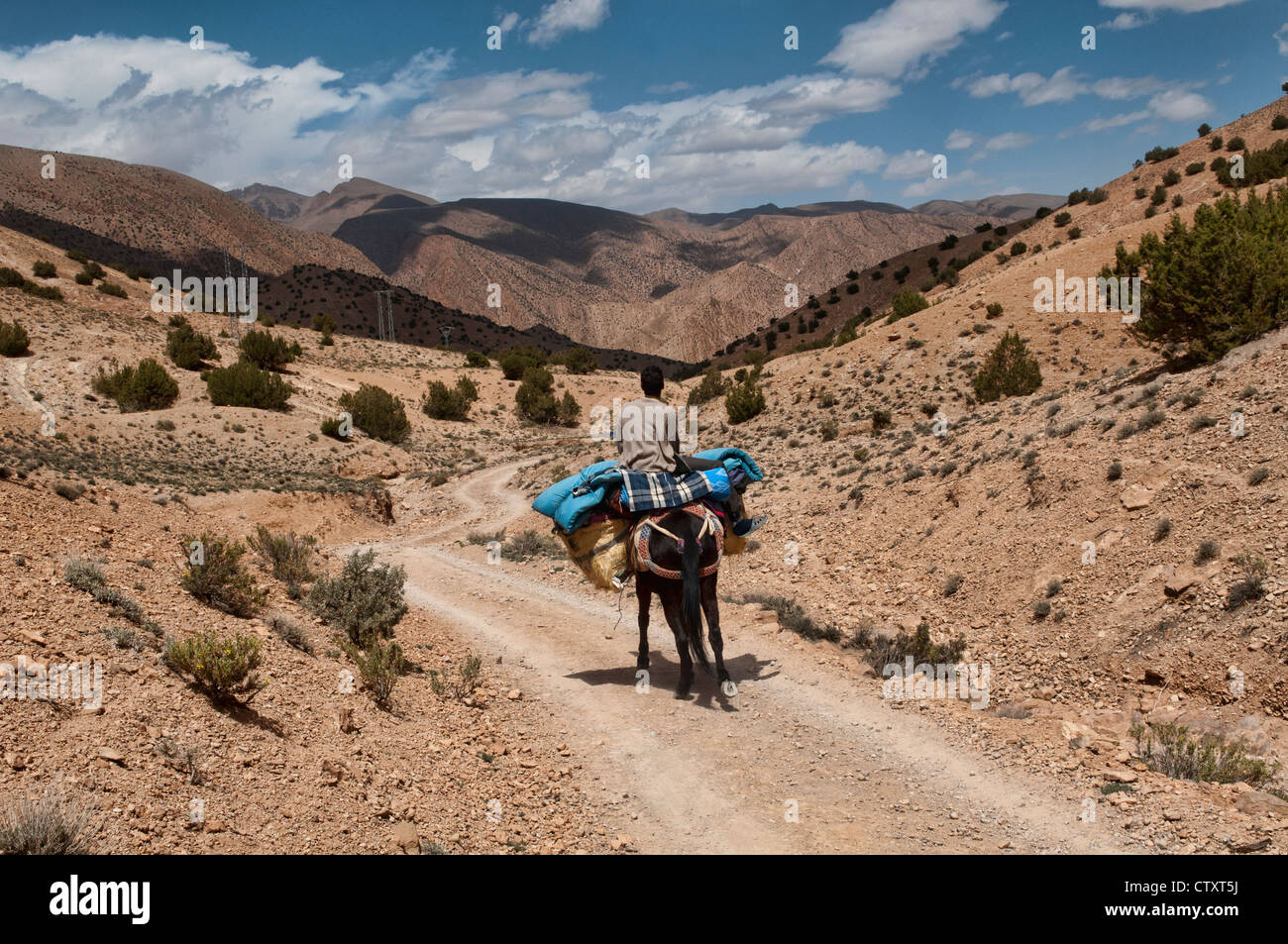 mule trekking in the Southern Atlas Mountains, Morocco Stock Photo - Alamy