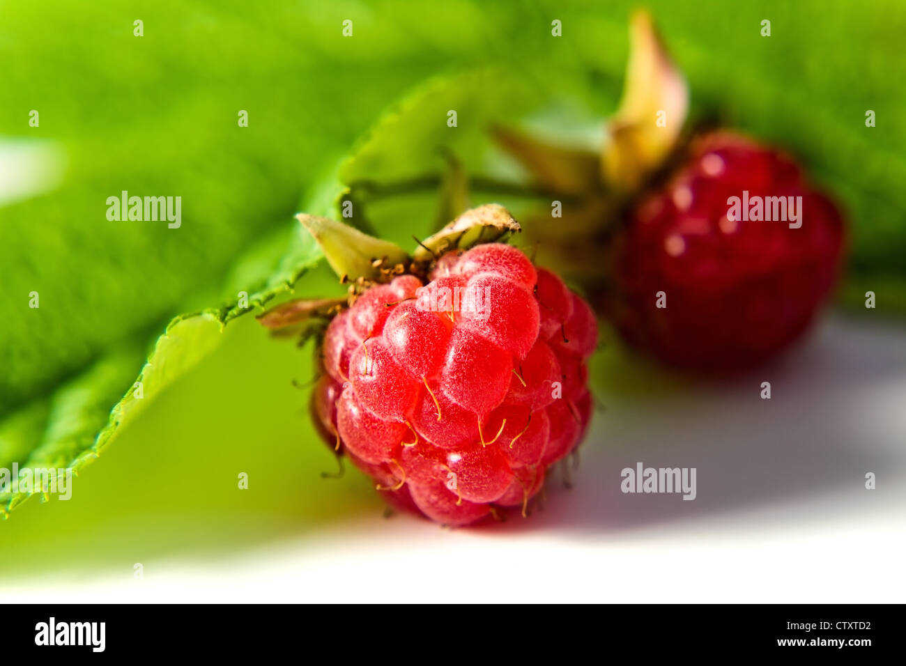ripe red raspberry on a white background Stock Photo - Alamy