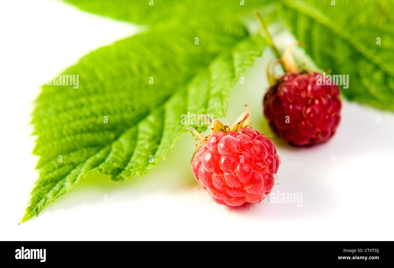 ripe red raspberry on a white background Stock Photo - Alamy