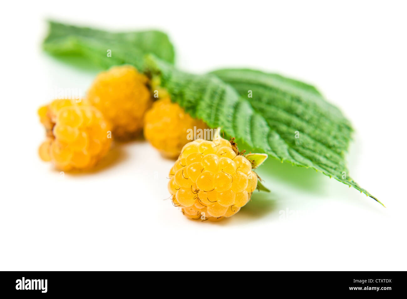 ripe yellow raspberry on a white background Stock Photo - Alamy