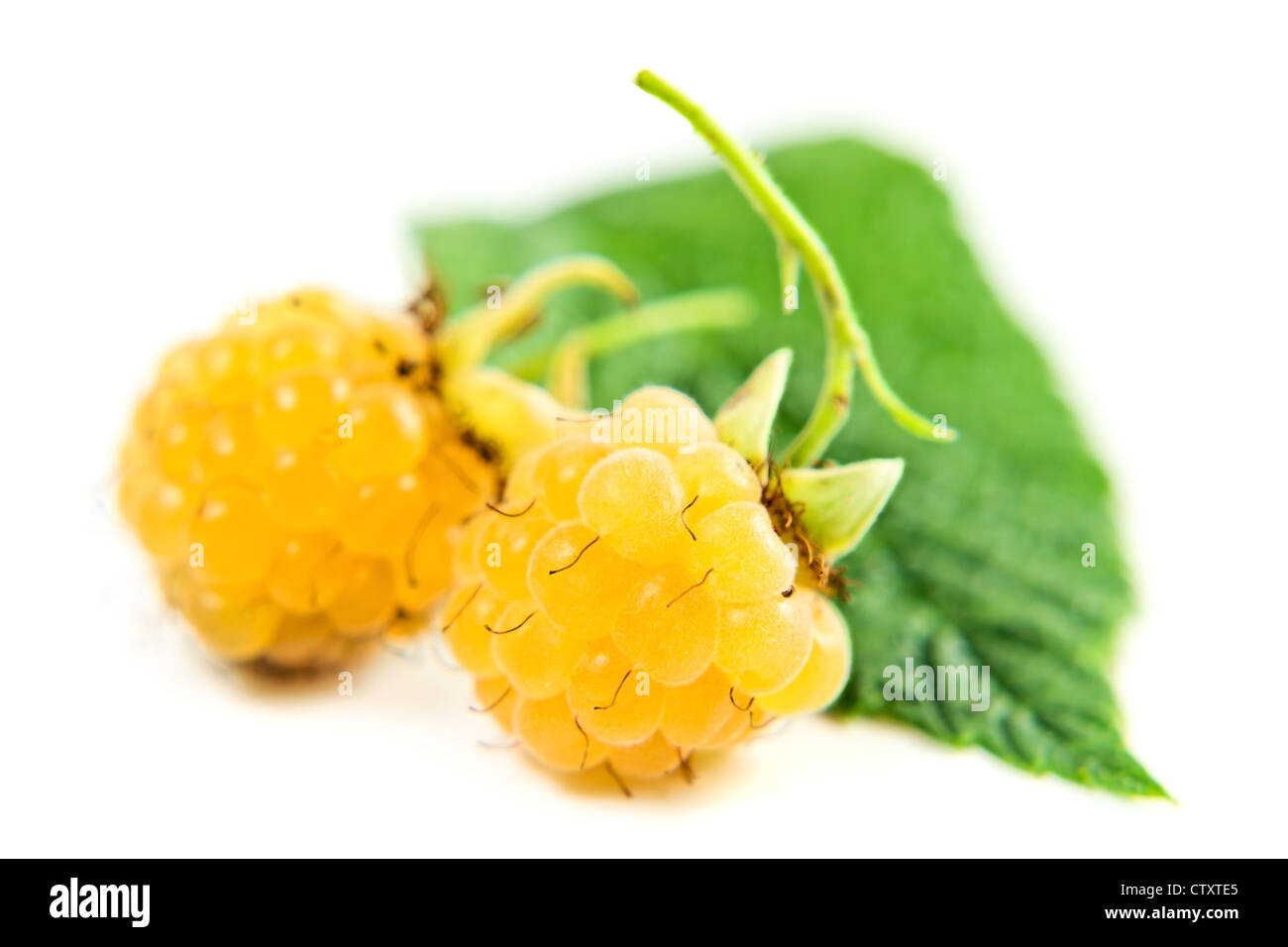 ripe yellow raspberry on a white background Stock Photo - Alamy