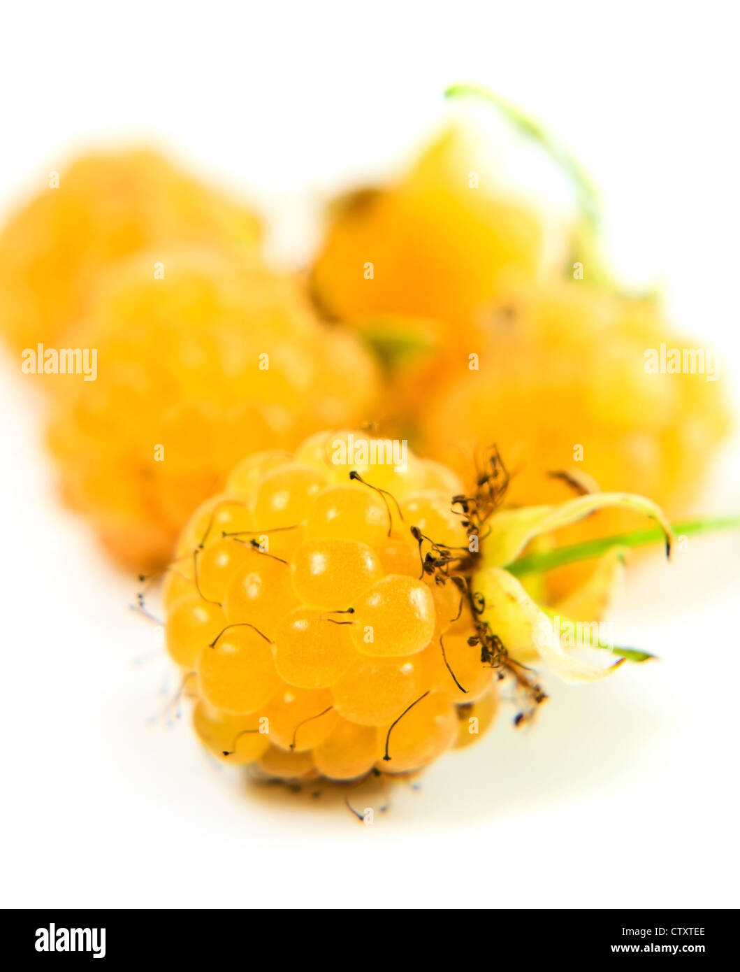 ripe yellow raspberry on a white background Stock Photo - Alamy