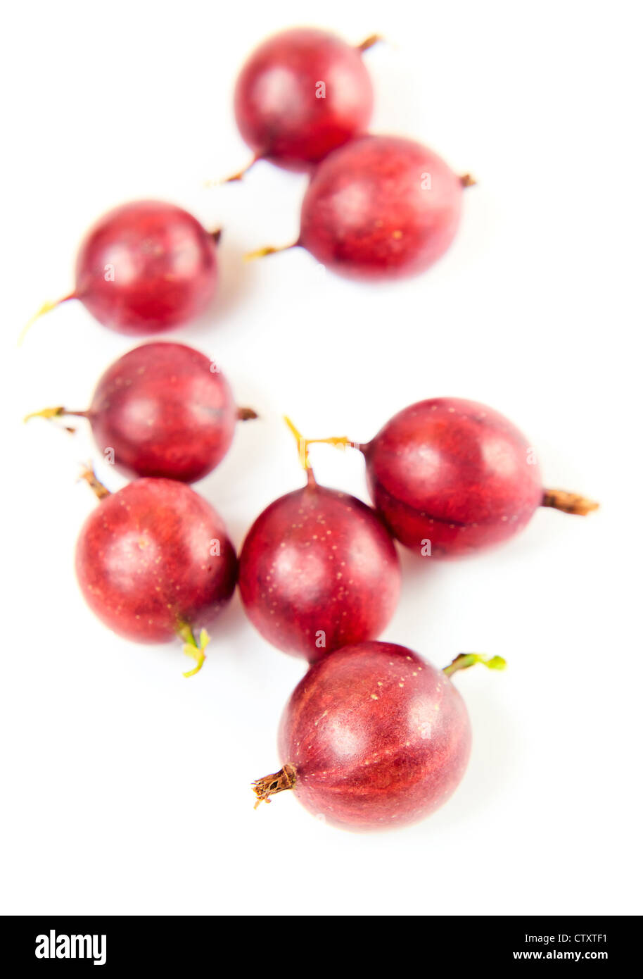 ripe red gooseberry on a white background Stock Photo - Alamy