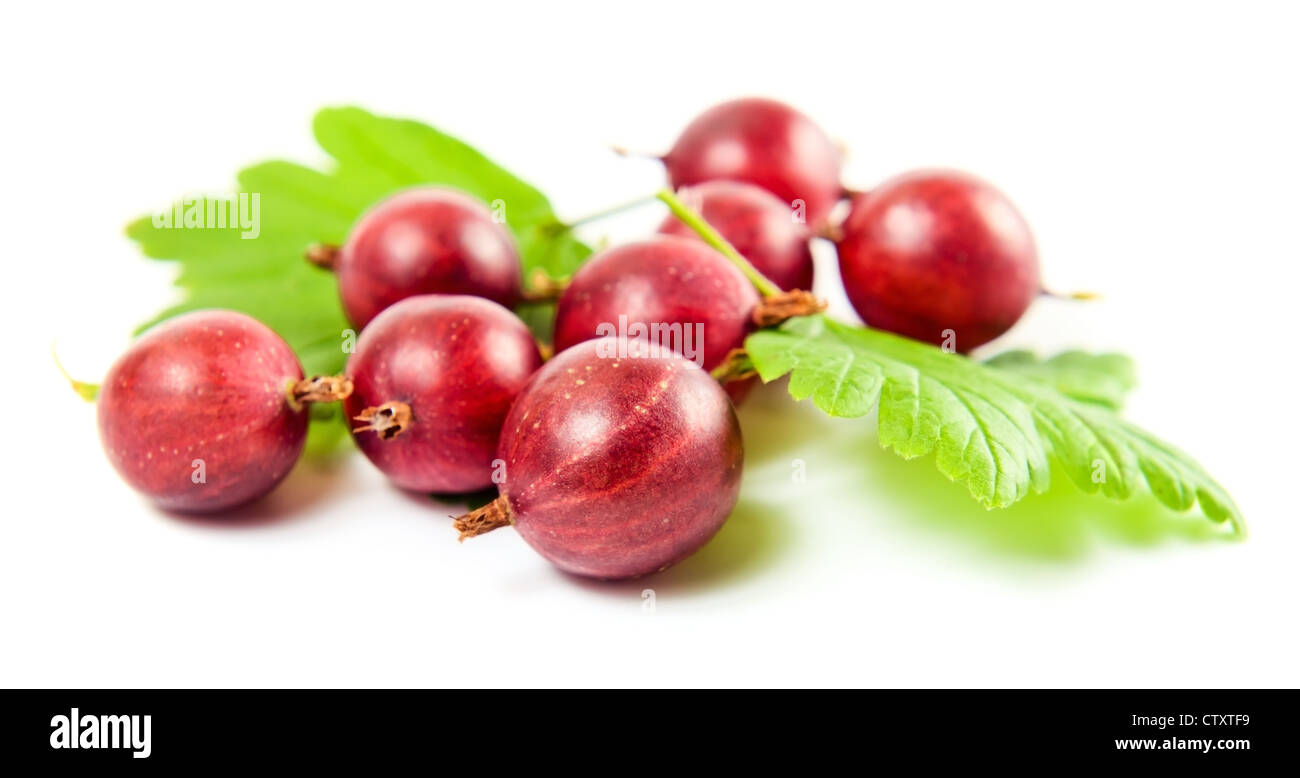 ripe red gooseberry on a white background Stock Photo - Alamy