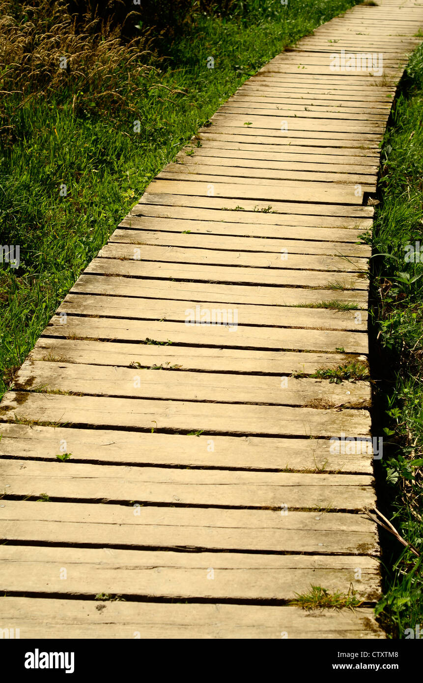 Wooden pathway Cornwall UK Stock Photo - Alamy