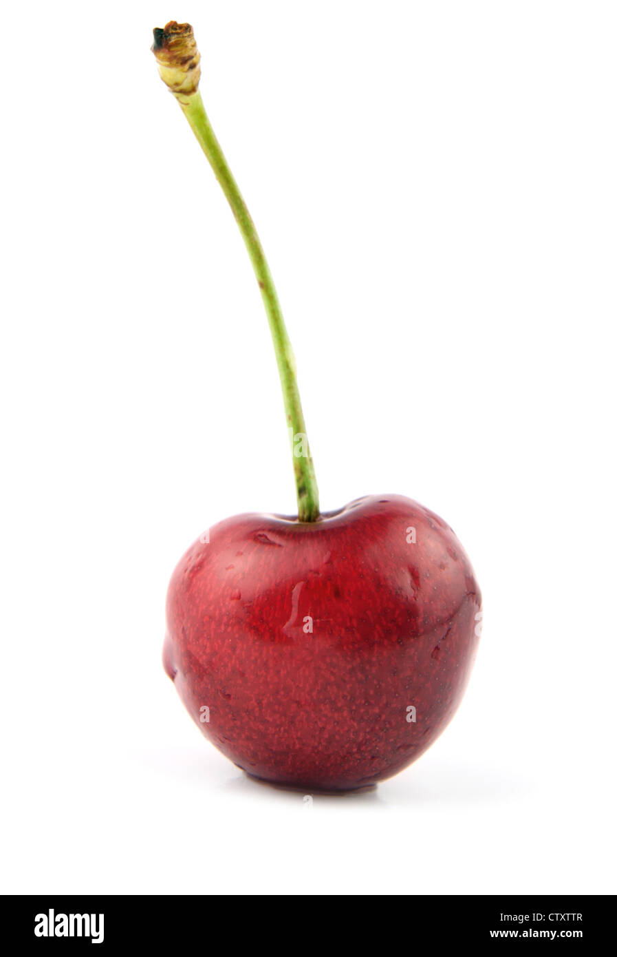 a ripe, juicy cherry Stock Photo - Alamy