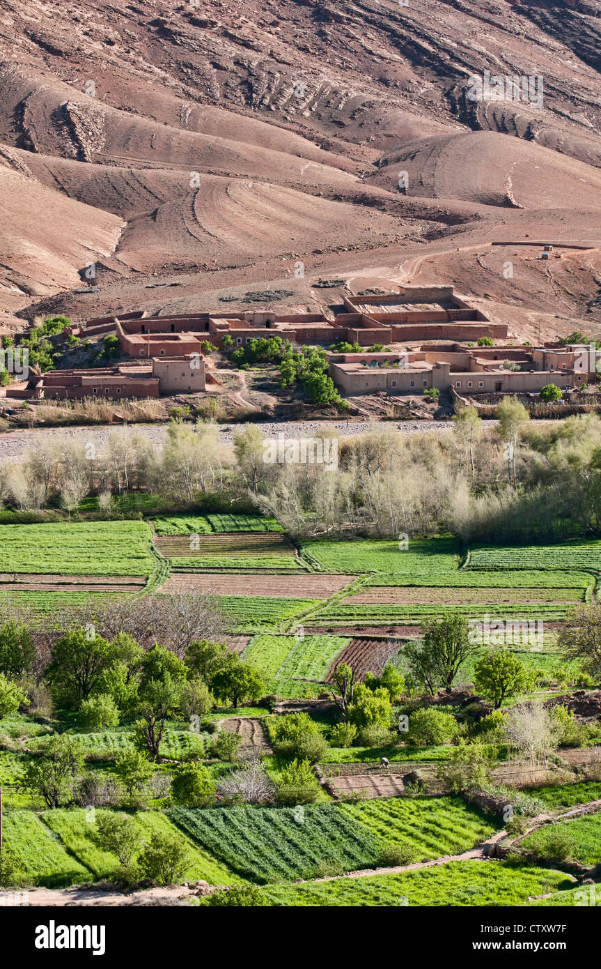 Rose valley morocco hi-res stock photography and images - Alamy