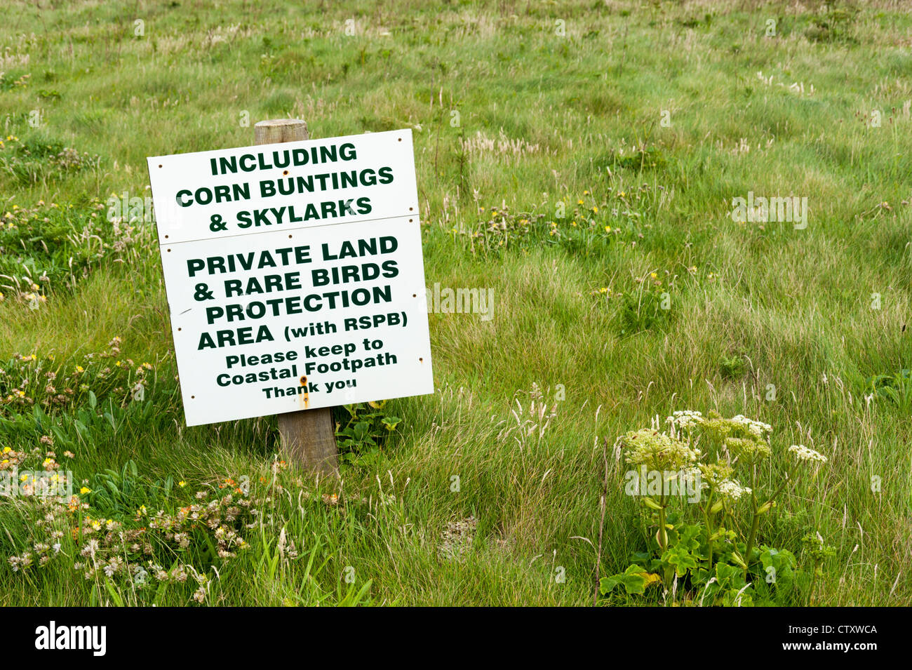 Nesting birds warning sign hi-res stock photography and images - Alamy