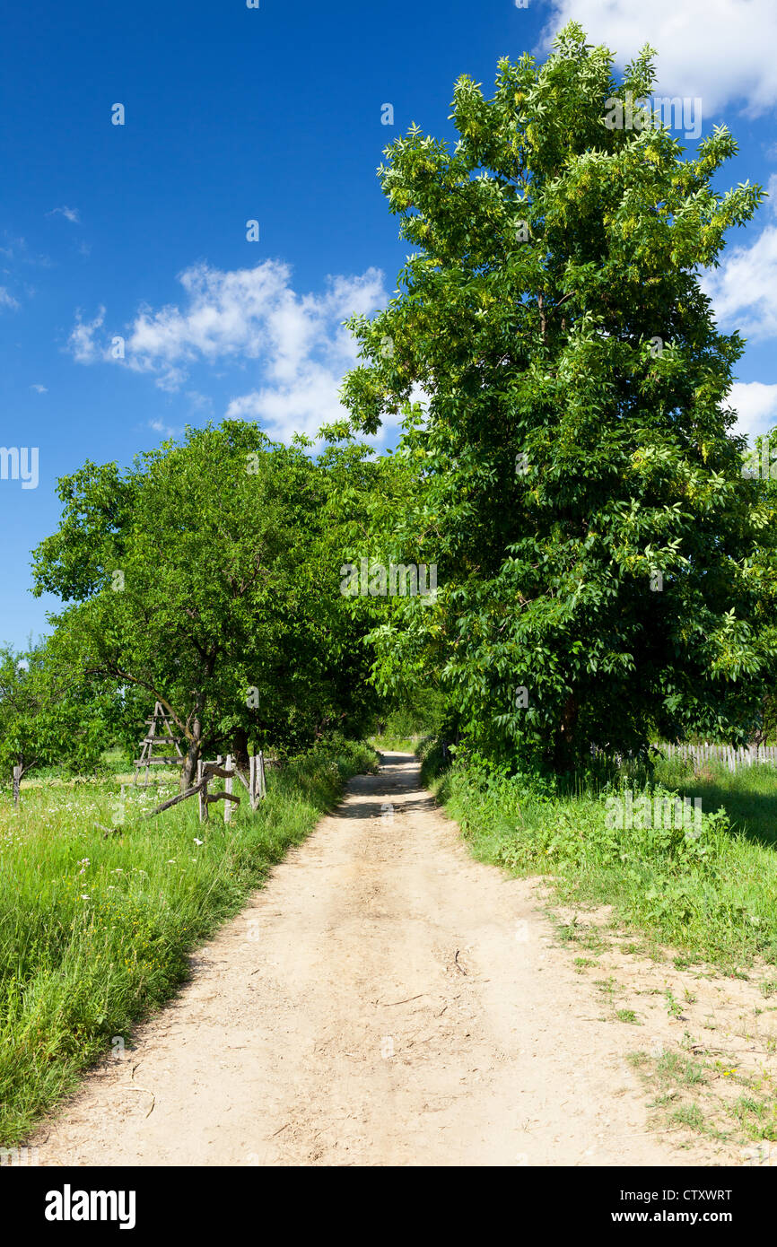 Landscape with a dirt road in the countryside Stock Photo - Alamy