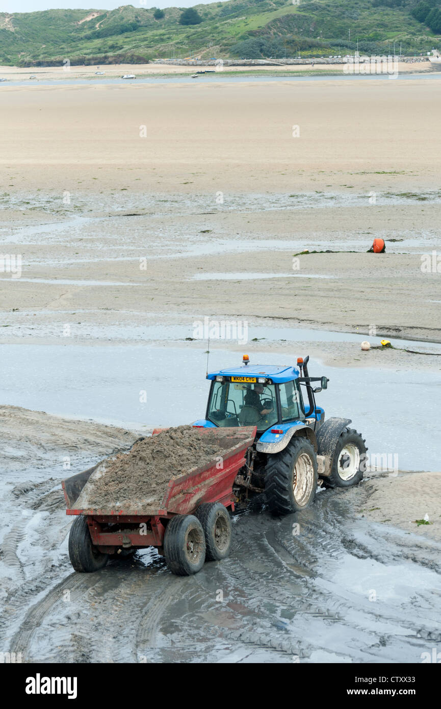 Tractors and machinery digging or mining sea sand in Padstow harbour ...