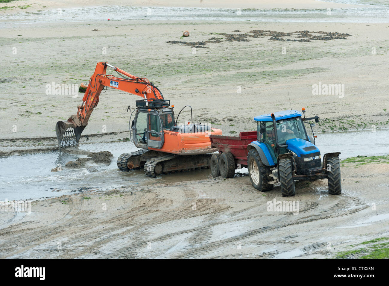 Tractors and machinery digging or mining sea sand in Padstow harbour ...