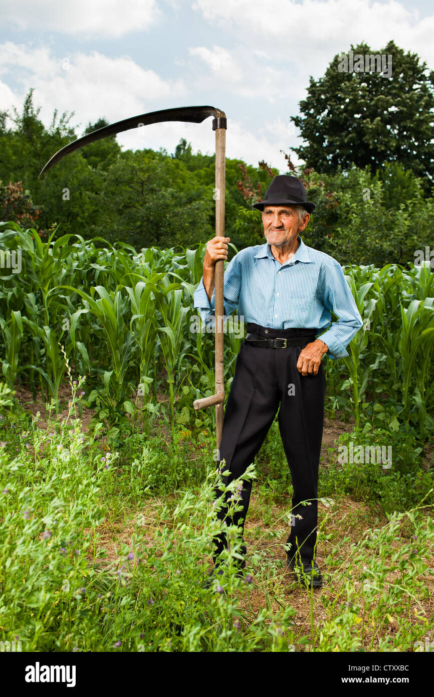 Senior farmer with scythe near a corn field having a break from work ...