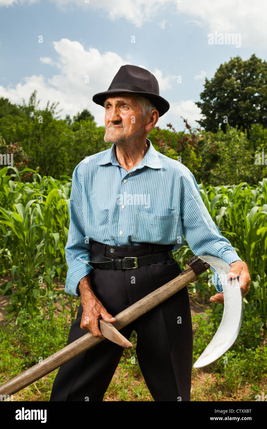 Farmer Cutting Grass With A Scythe High Resolution Stock Photography ...