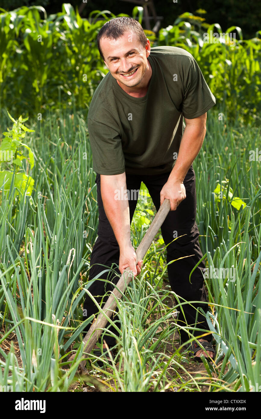 Young gardener weeding in an onion field Stock Photo - Alamy
