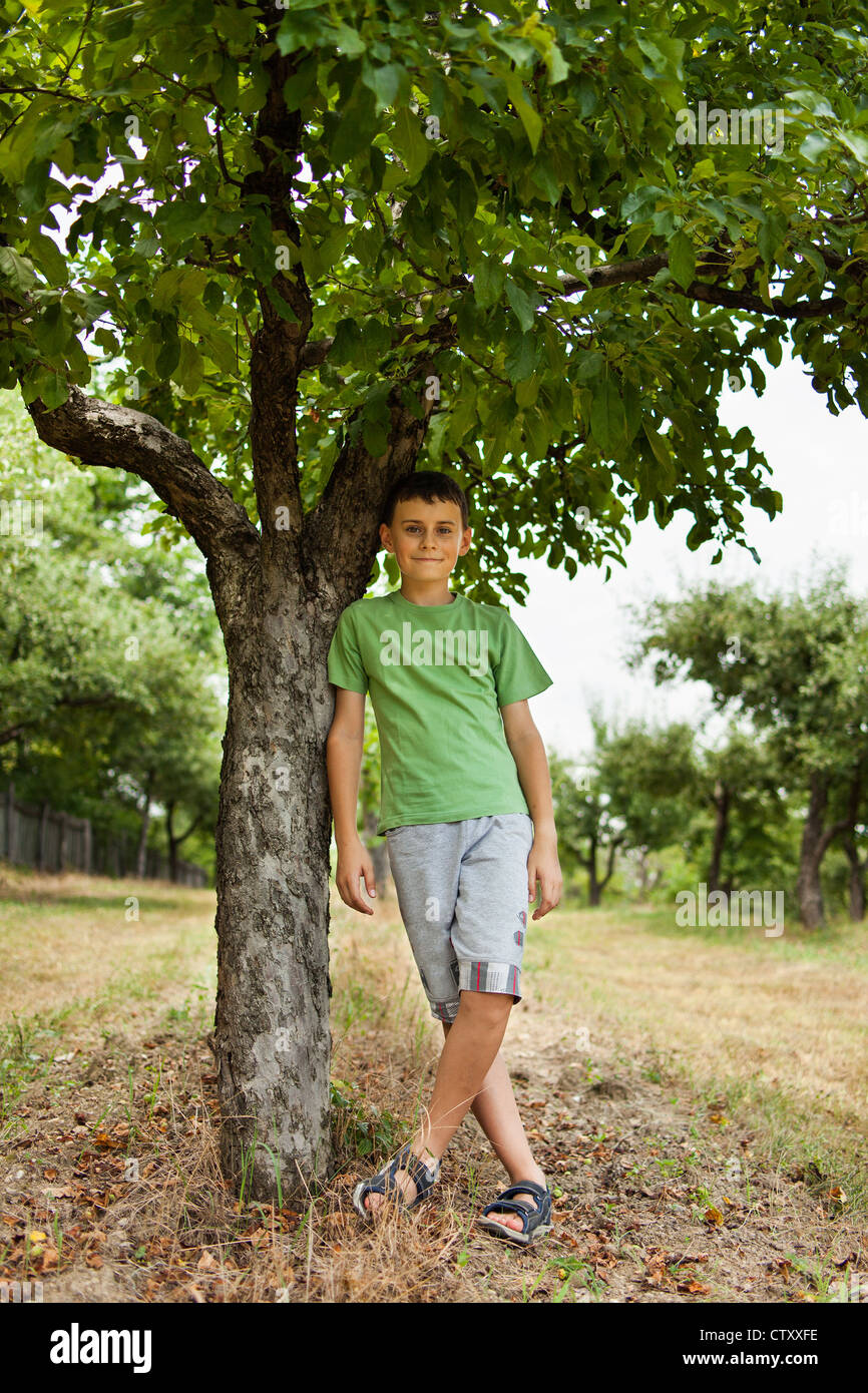 Happy smiling boy leaning against an apple tree in an orchard Stock ...