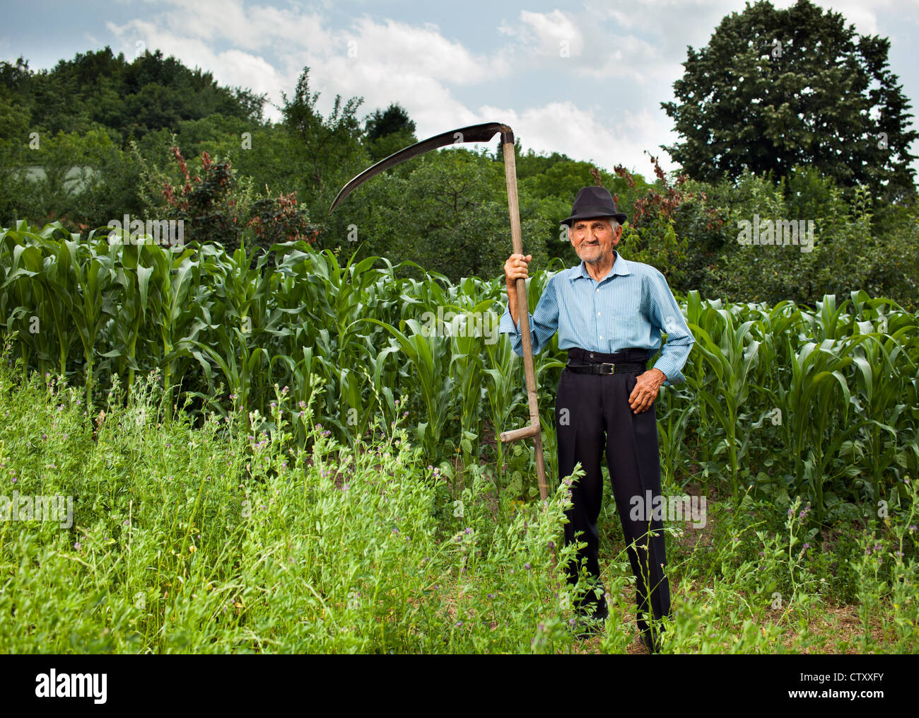 Senior farmer with scythe near a corn field having a break from work ...